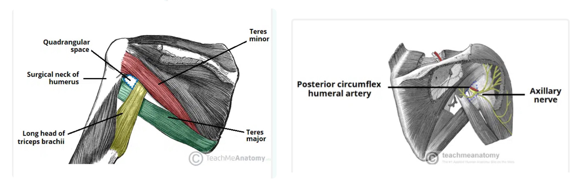 MemorAid | Test | Quadrangular Space