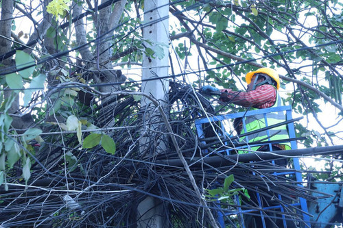 FINALLY! Phnom Penh Tackles Messy Overhead Cables Eyesore, Placing Them ...
