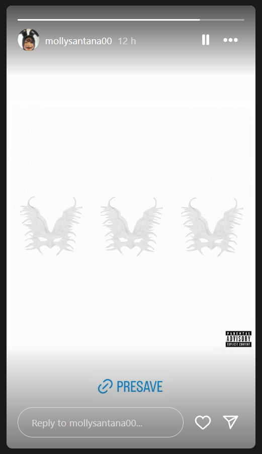 Molly Santana – Not Regular Lyrics | Genius Lyrics