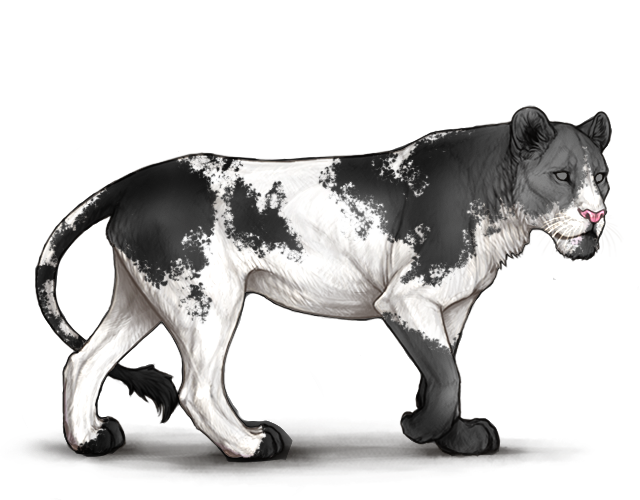 Base idea: Smoke :|: Lioden