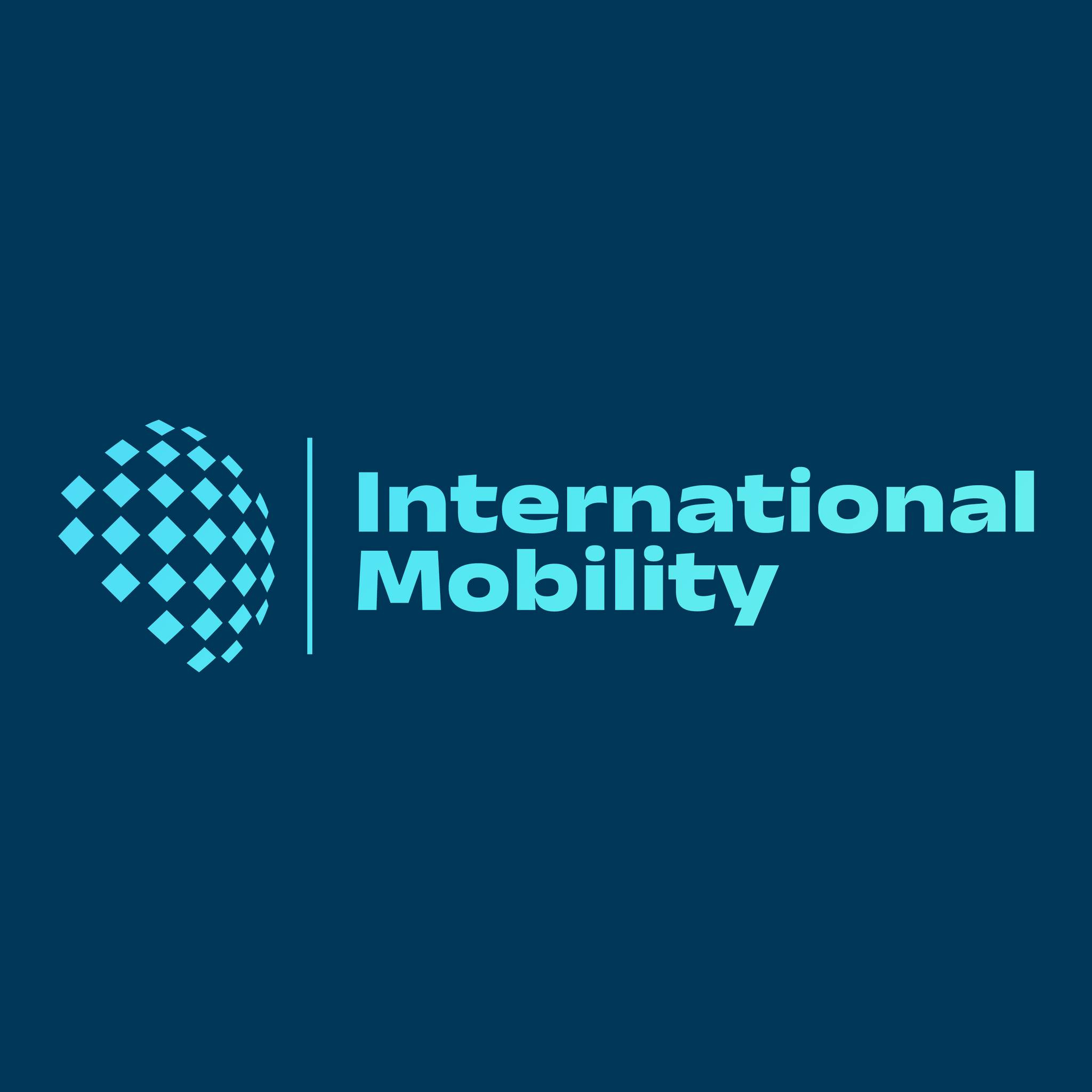 International Mobility - Zaměstnávání příslušníků ze třetích zemí