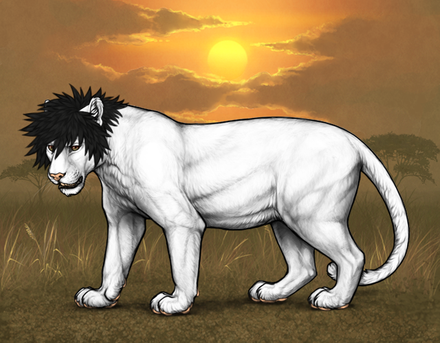 Felid's Mane Decor Catalogue :|: Lioden