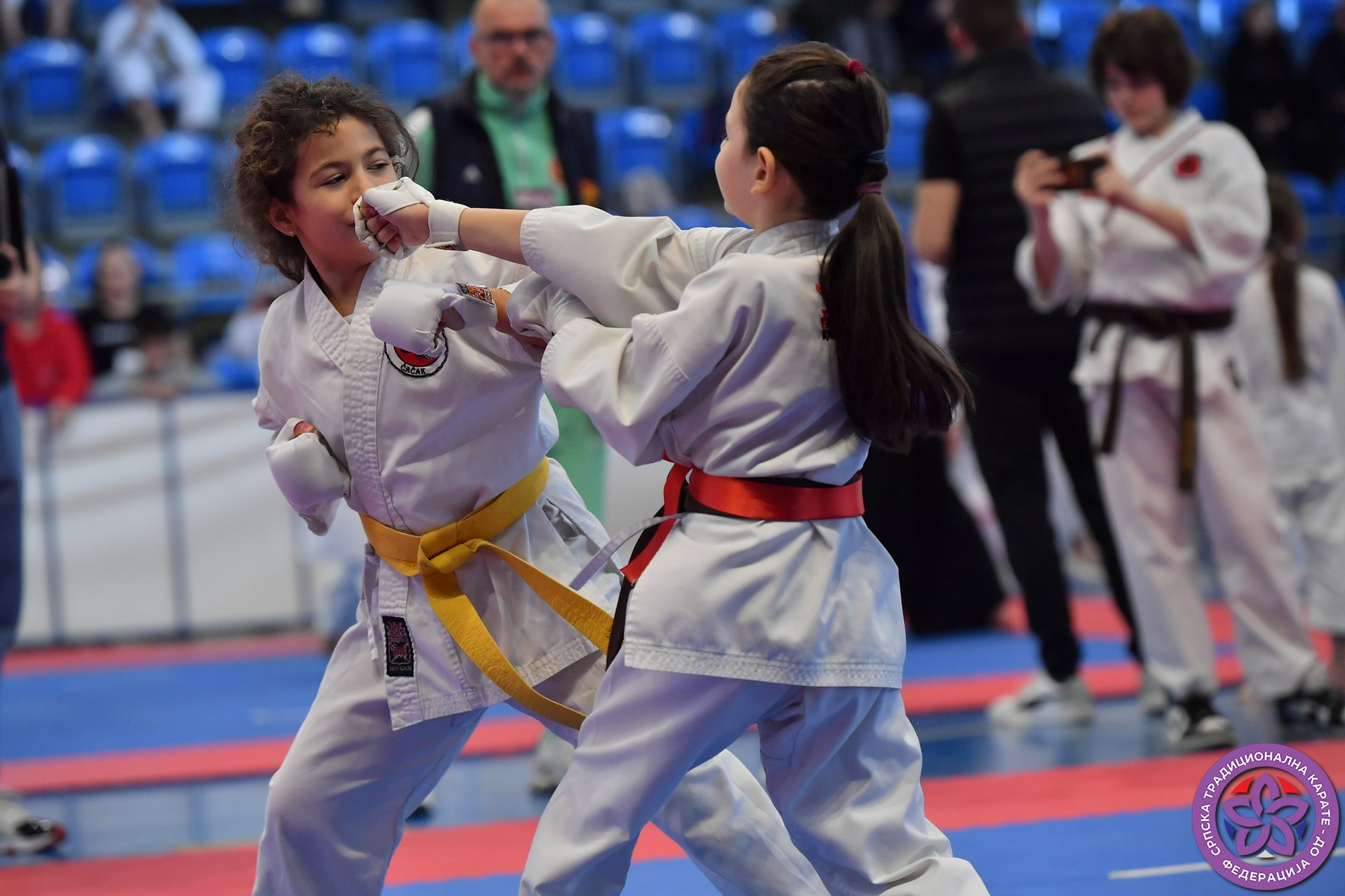 SPORT Archives - PULS Šumadije