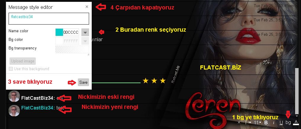 BILGI - Chatango chat kullanım rehberi | Flatcast.Biz