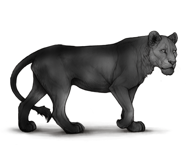 Base idea: Smoke :|: Lioden