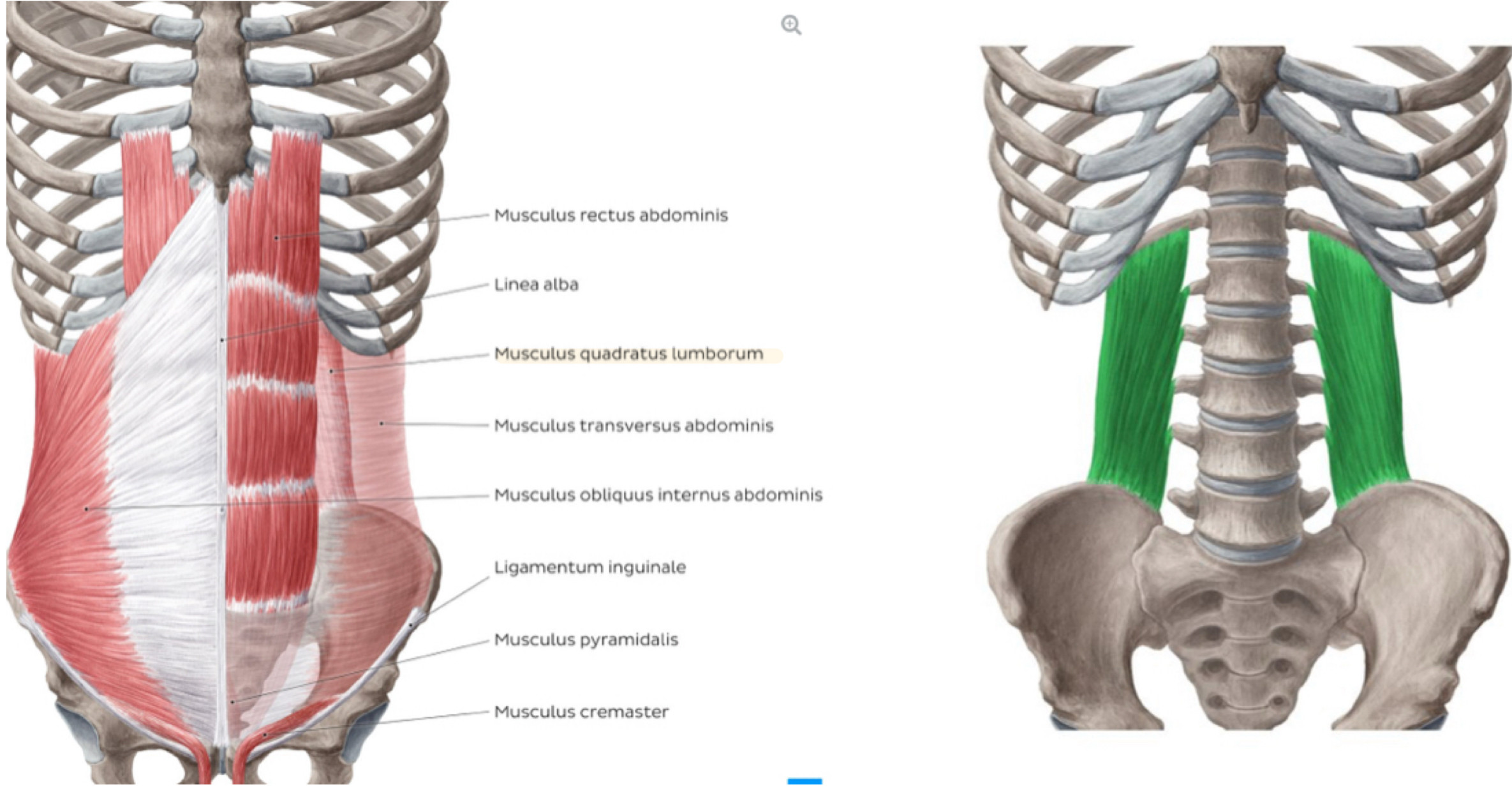 MemorAid | Test | 2C - Buik