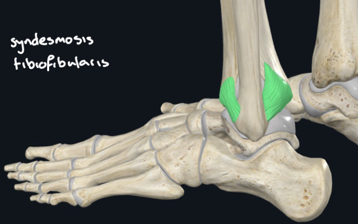 MemorAid | Test | 2C - Voet 5