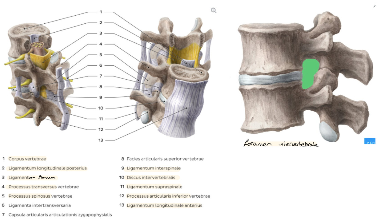 MemorAid | Test | 2C - Rug 1