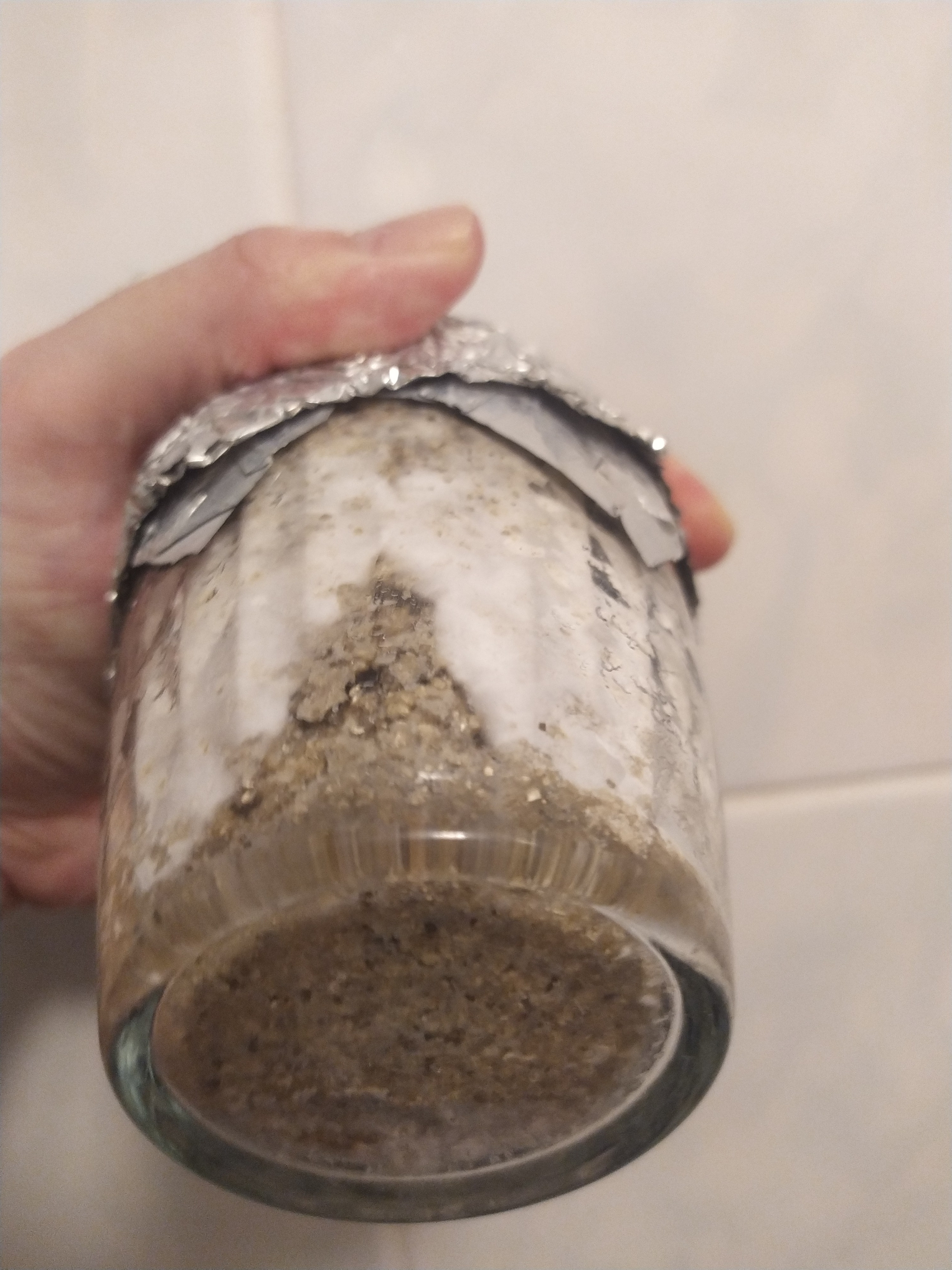 Can PF-tek jars be left to colonize for too long? : r/PsilocybinMushrooms