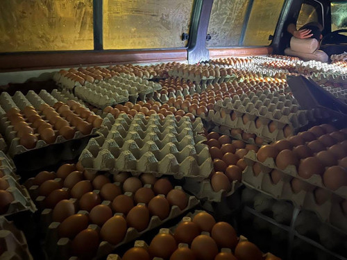 Authorities Crack Down on Massive Egg Smuggling Operation in Phnom Penh ...