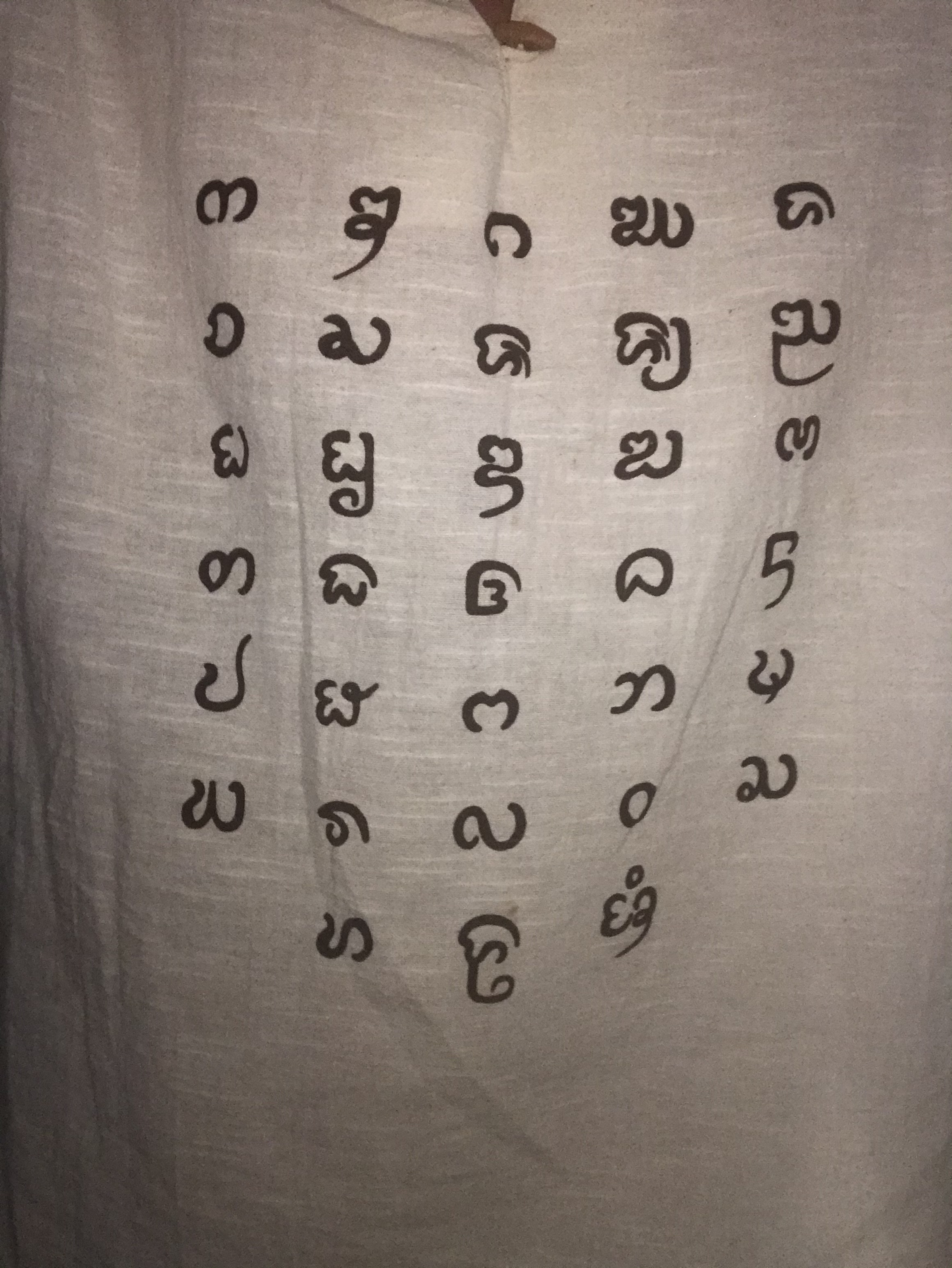 Can someone read Lanna/Tai Tham/Tua Mueang script (ล้านนา)? : r/thai