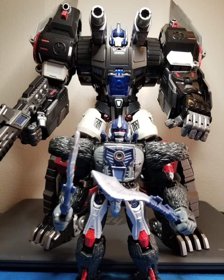 Finally finished my little side project... : r/transformers