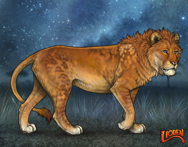 Wardrobe Design/Decor Comms :|: Lioden