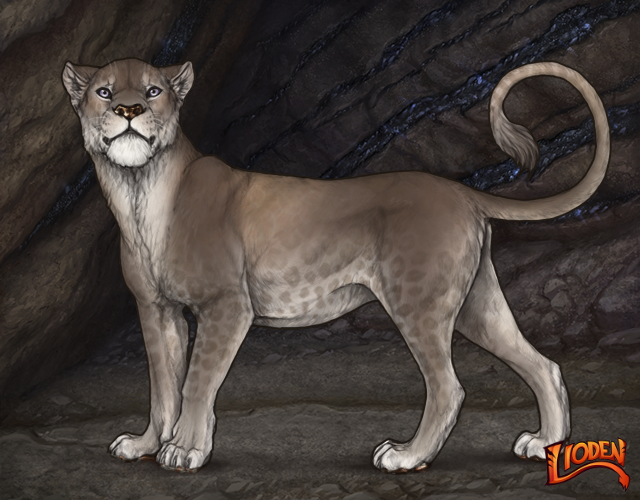 Wardrobe Design/Decor Comms :|: Lioden