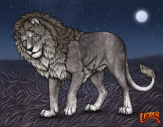 Wardrobe Design/Decor Comms :|: Lioden