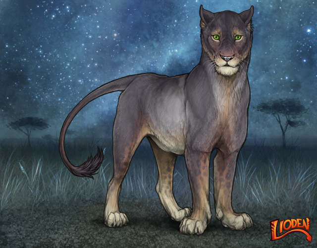 (Open) ⋆.˚🦋Resolute Auctions🦋˚.⋆ :|: Lioden