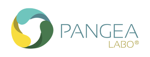 Wave Digital Agency - Agence Digitale Offshore | Développement Web & IA