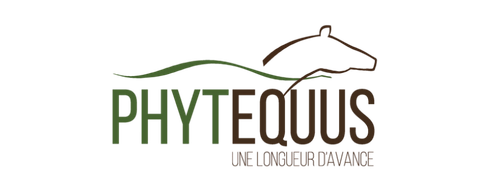 Wave Digital Agency - Agence Digitale Offshore | Développement Web & IA