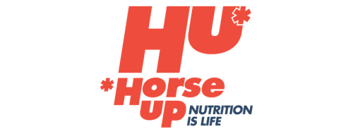 Wave Digital Agency - Agence Digitale Offshore | Développement Web & IA