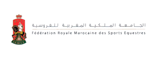 Wave Digital Agency - Agence Digitale Offshore | Développement Web & IA