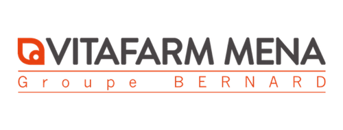 Wave Digital Agency - Agence Digitale Offshore | Développement Web & IA