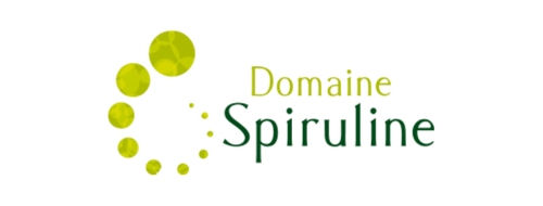 Wave Digital Agency - Agence Digitale Offshore | Développement Web & IA