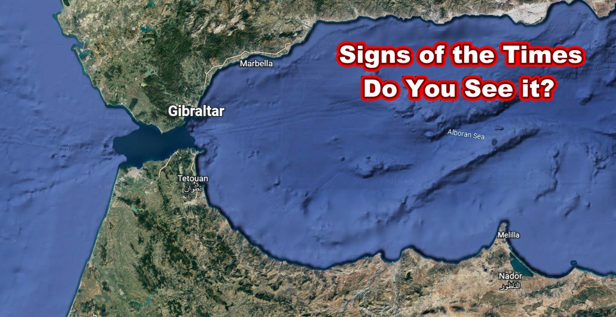 Signs of the Time — The Bear and Eagle Face Off — Do You See It ...