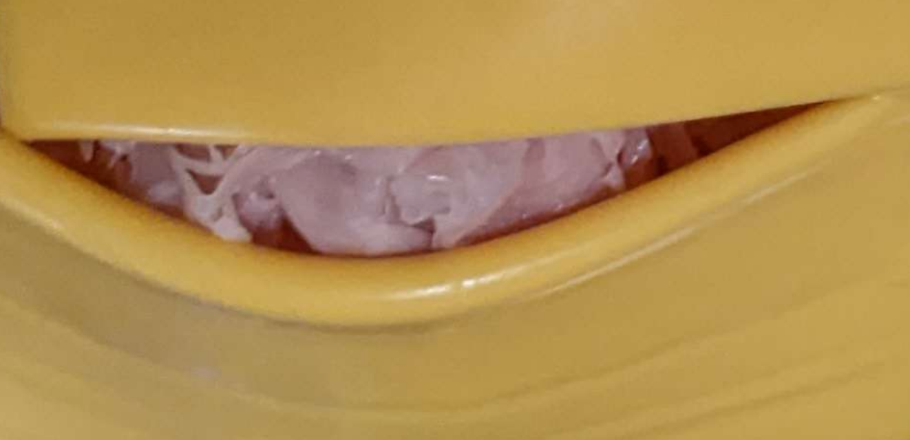 [TROOMP] WE ARE MAGADONIANS, WE ARE VERY SMART, WE STICK TOGETHER AS ...