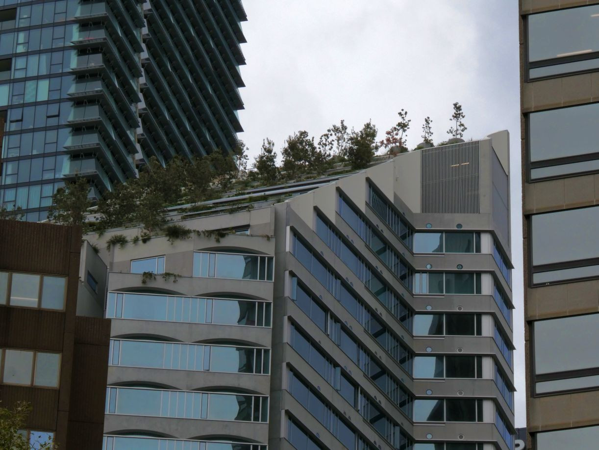 Completed | SYDNEY | Castle Residences & Porter House MGallery | 35st ...