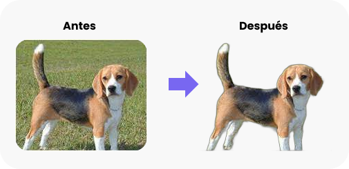 GitHub - lucero-huaman/WebApp-Background-remover