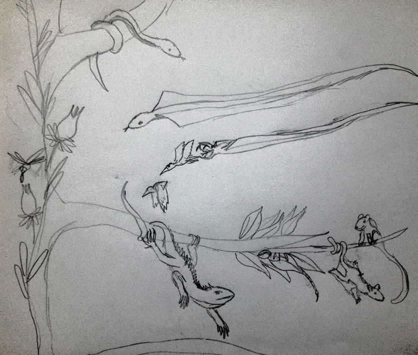 Speculative Evolution -> Avium Aetas