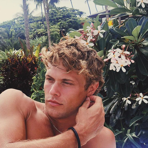 Popmundo - M. Landrum