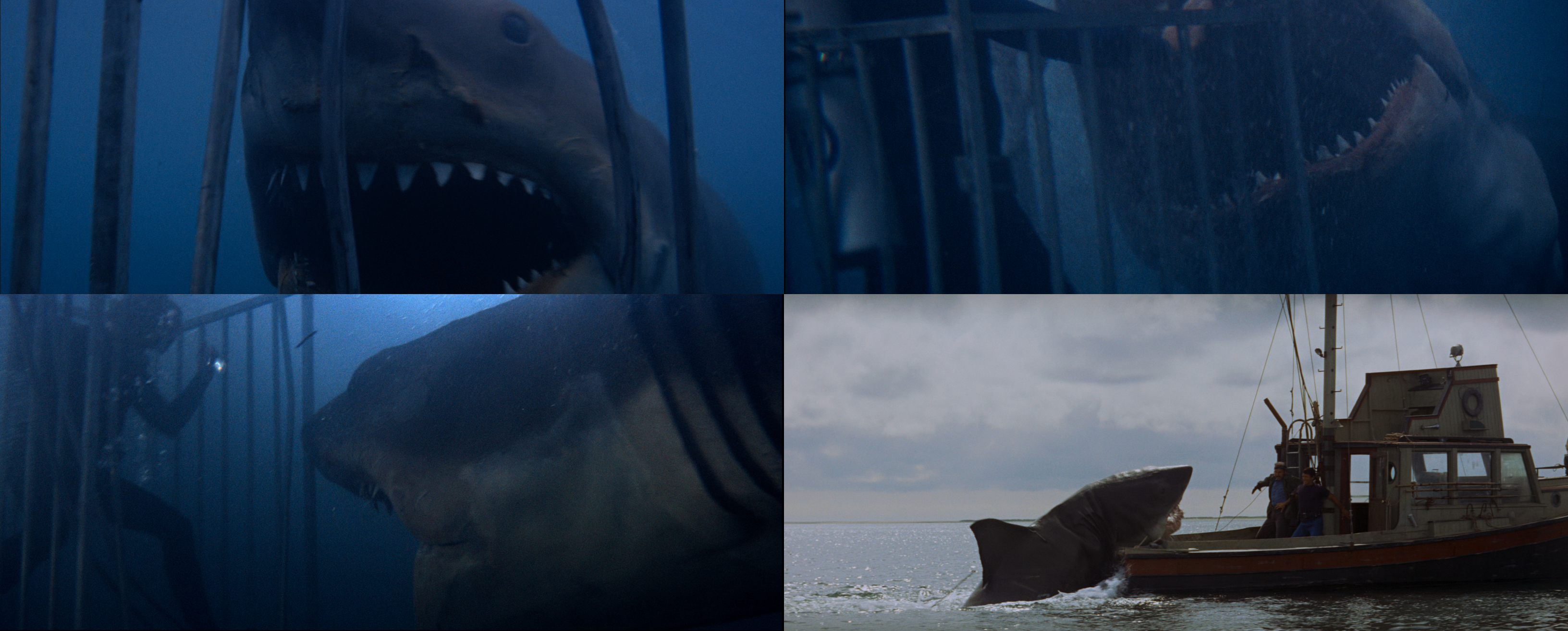 Does ' Jaws ' Still Have A Bite ? | Page 19 | Steve Hoffman Music Forums