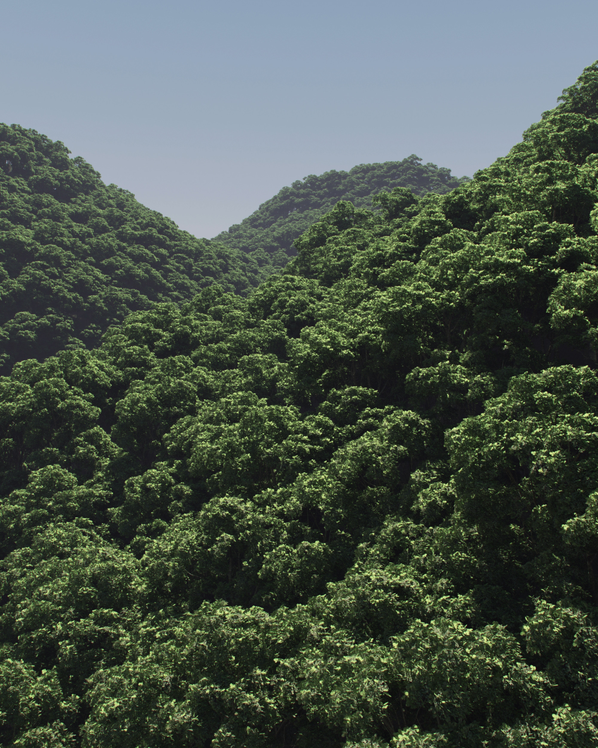 Jungle Tree - Download Free 3D model by gelmi.com.br (@rodrigogelmi ...