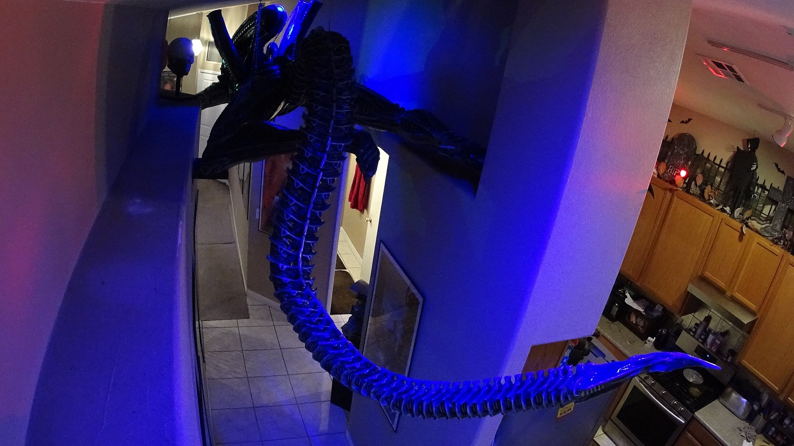 Fullsize Aliens Warrior Build (2 years in the making)