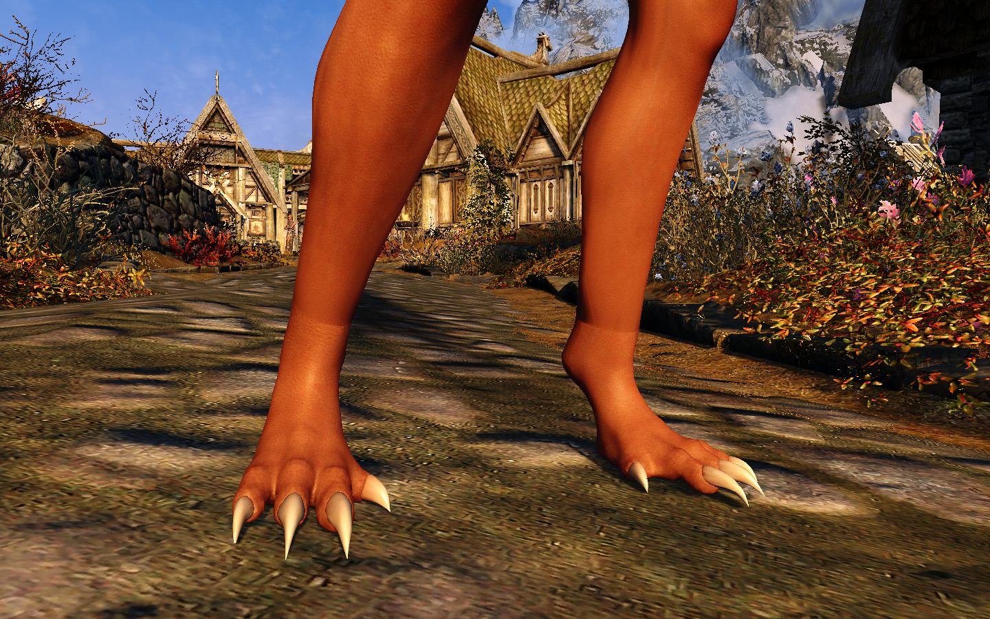 Equitable Claw feet boot DAV at Skyrim Special Edition Nexus - Mods and ...