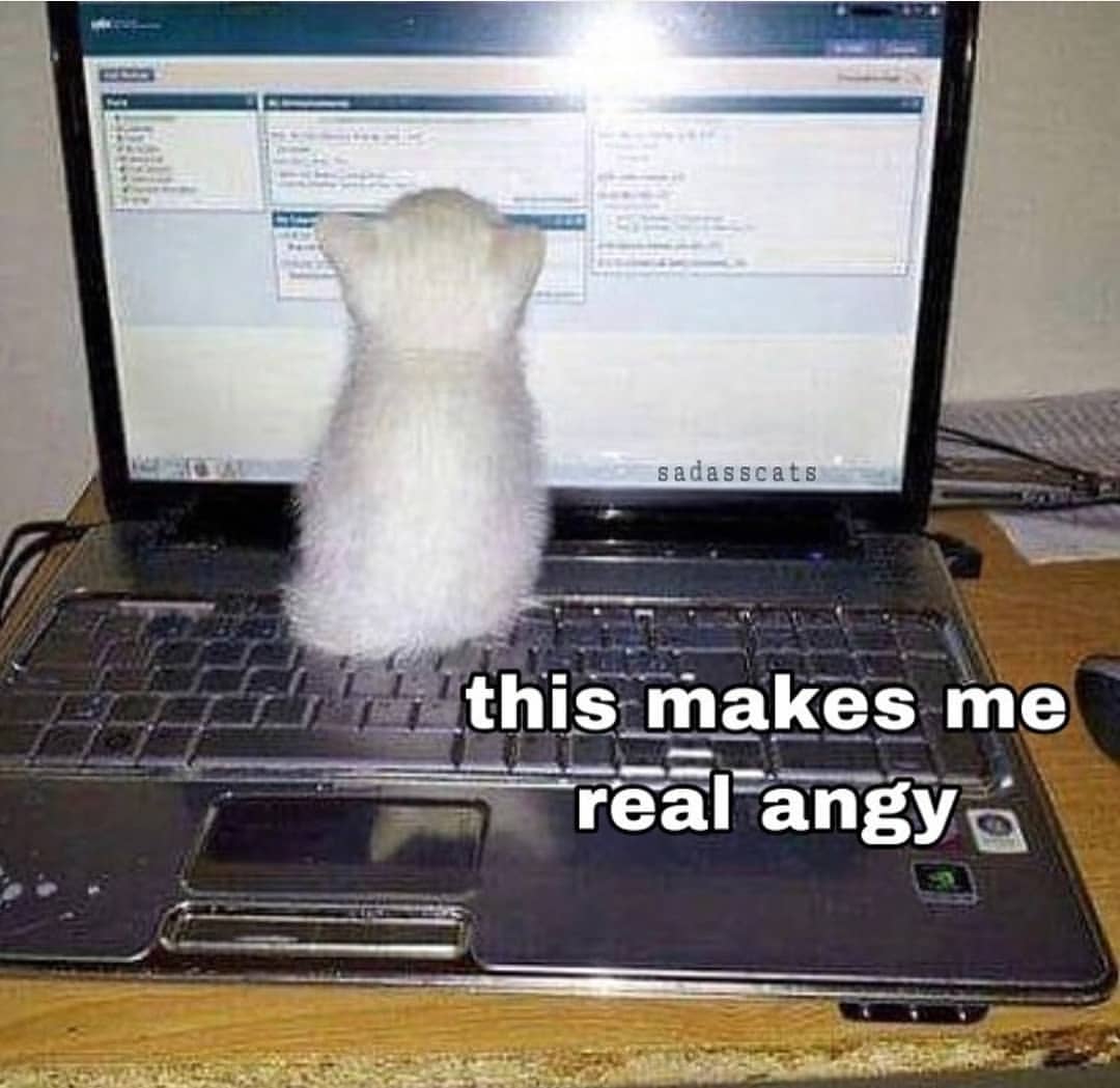 Shuu's way too big meme collection | Page 5 | Eating Disorder Support Forum