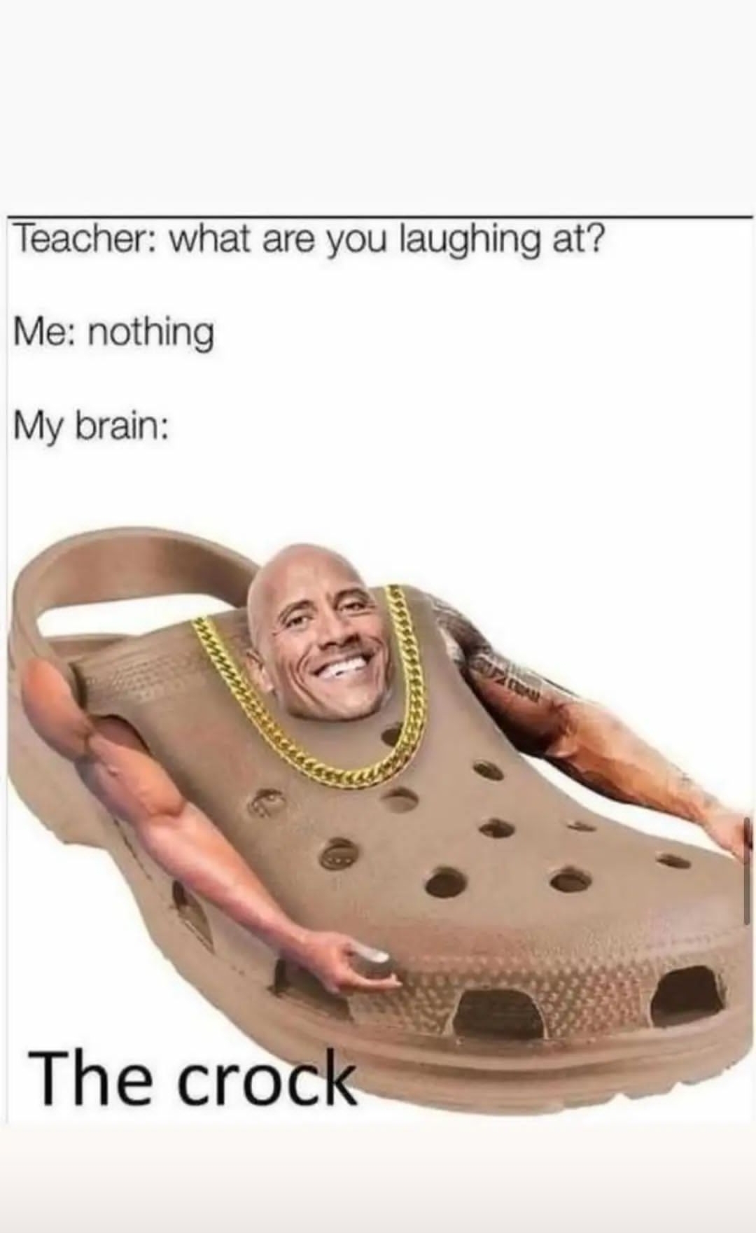 Shuu's way too big meme collection | Eating Disorder Support Forum