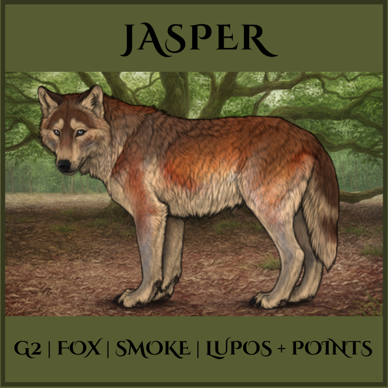 JASPER G2 FOX STUD 10m | VLF Friendly | SMOKE | LUPOS + POINTS | 700 ...
