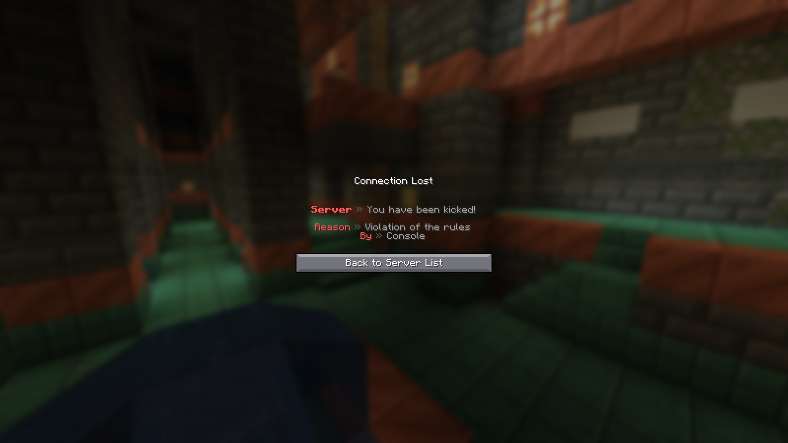 SunLight ⭐ Best (z)Essentials/CMI Alternative! Warmups Update ...