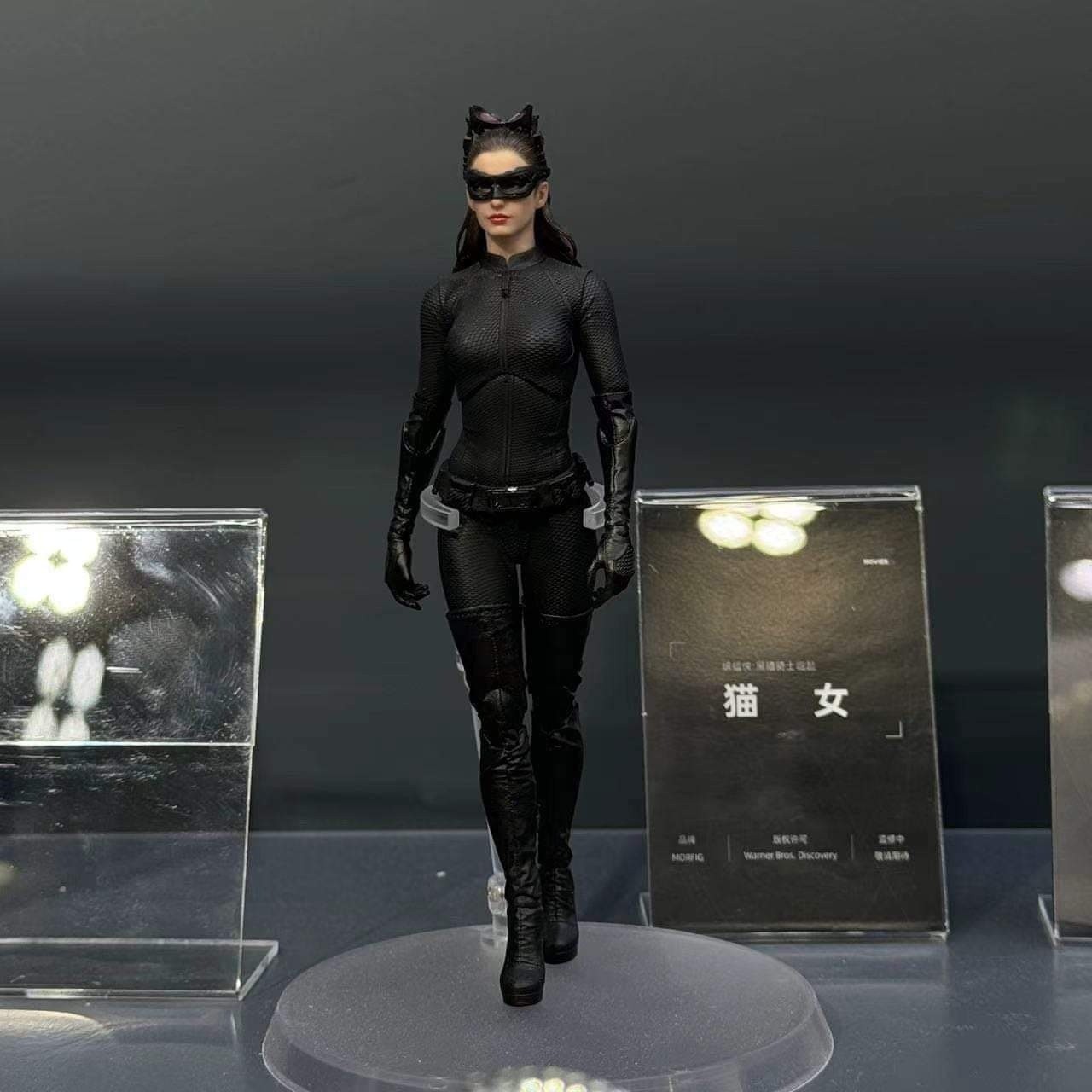 InArt: The Dark Knight Rises - 1/6 Catwoman / Selina Kyle (Anne ...
