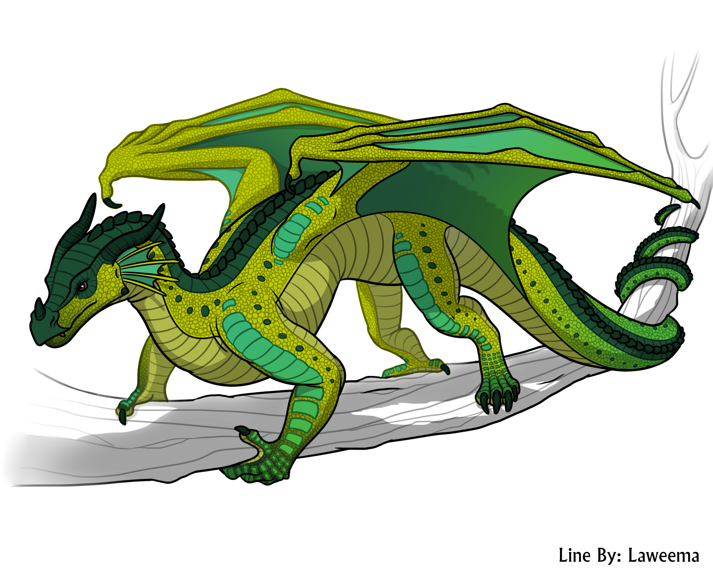 View topic - • WoF Base Adopts! [Wings Of Fire] - Chicken Smoothie