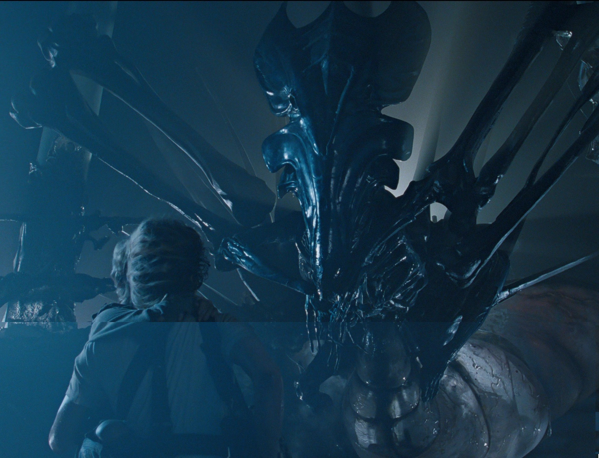 Best pic of an Alien - Page 786