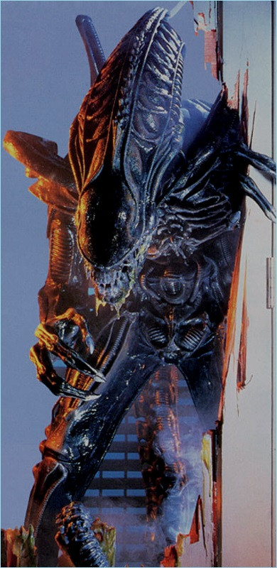 Best pic of an Alien - Page 787