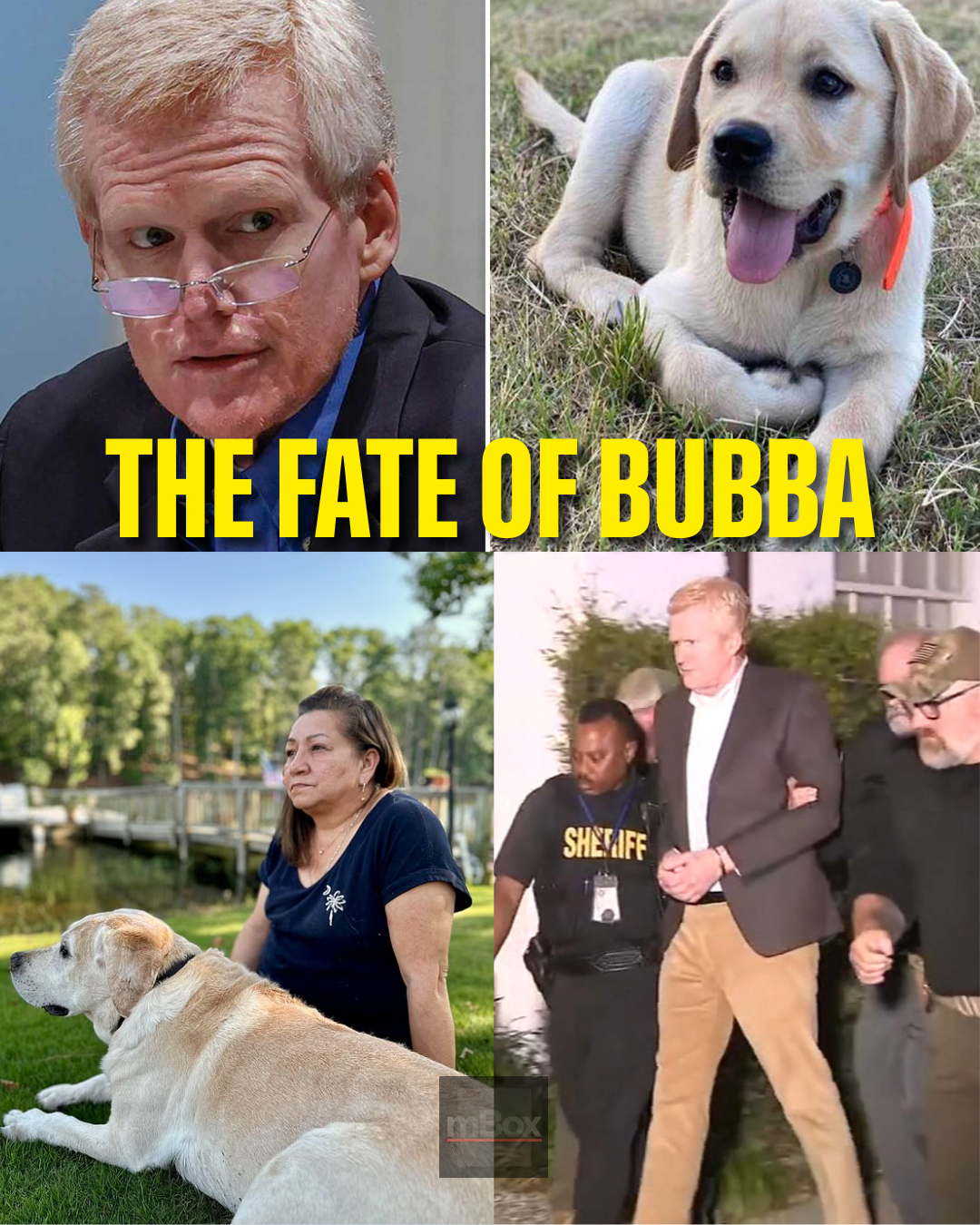 What Happened to Bubba, Alex Murdaugh’s Loyal Dog Who BARKED on the ...