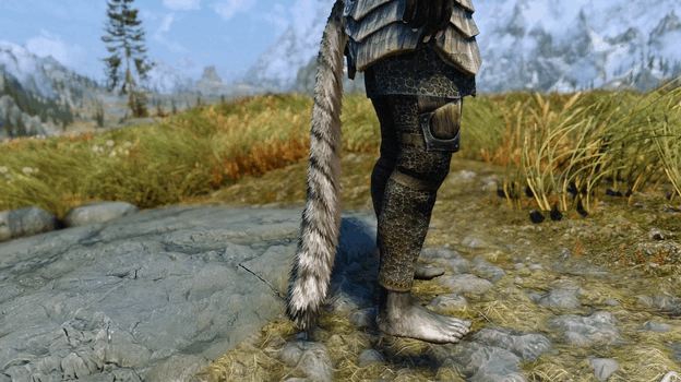 Fluffy Khajiit 3 髪・顔・体 - Skyrim Special Edition Mod データベース MOD紹介・まとめサイト