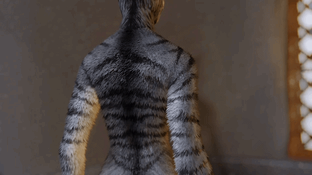 Dynamic Fur Morph at Skyrim Special Edition Nexus - Mods and Community