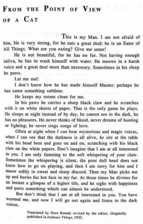 The All New 2024 Random Image Thread. Do NOT use imgur, postimage or ...