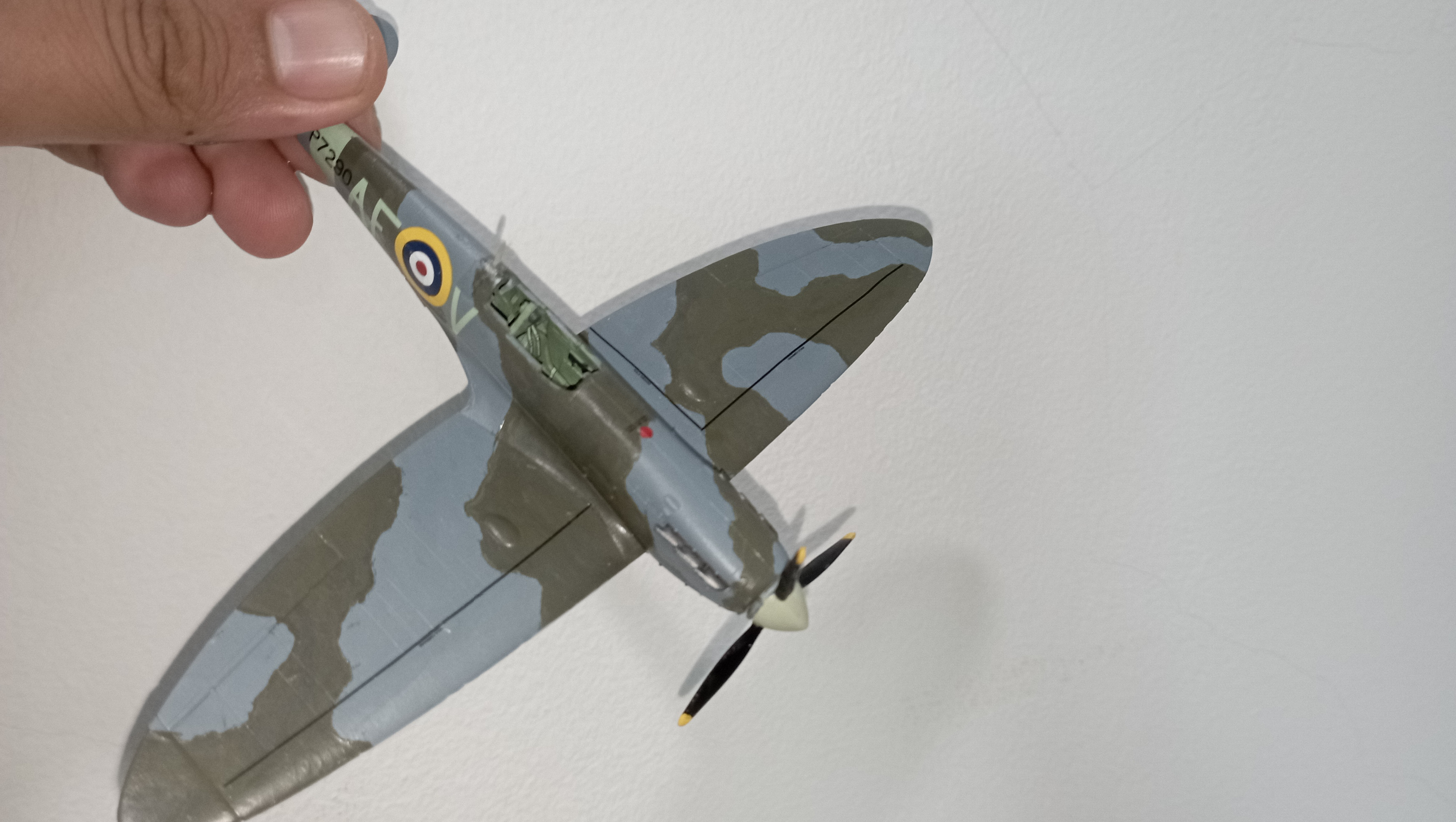 Tamiya XF81 RAF Dark Green - Paint - Britmodeller.com