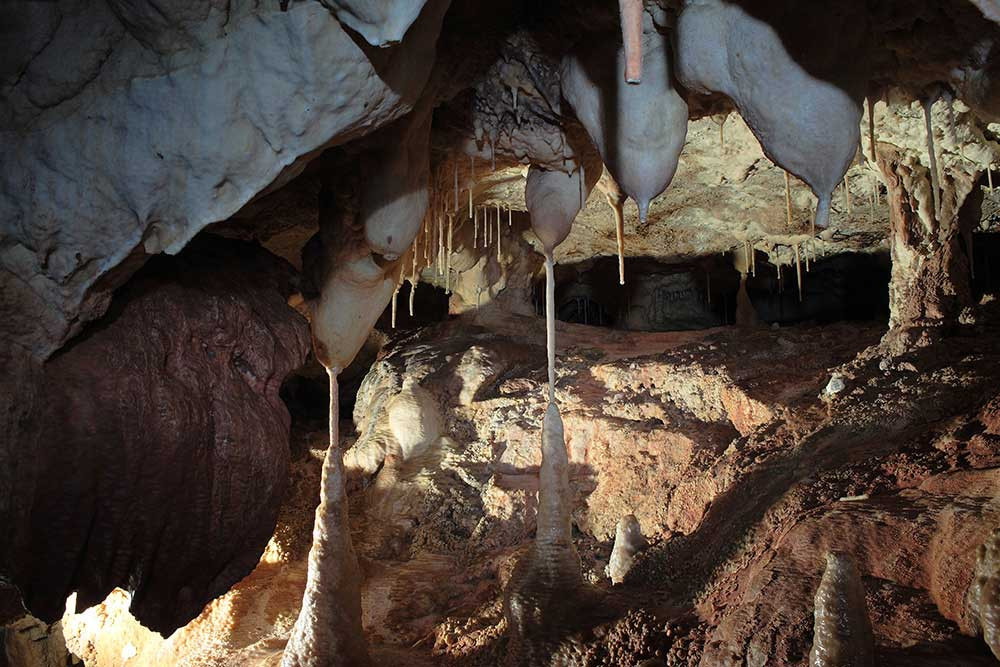 human skull, slowly being absorbed by the limestone : r/oddlyterrifying